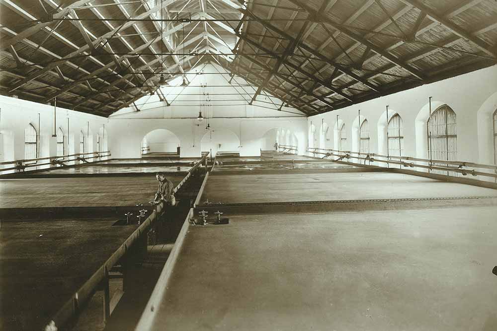 Faro Lindemans: Men of Heaven and 200 Years of Secrets